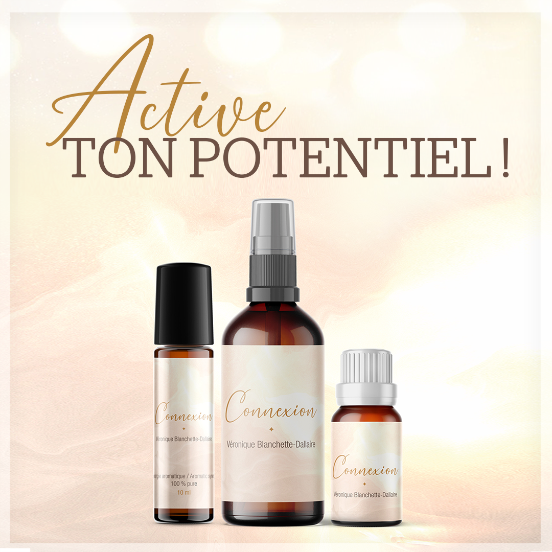 Connexion - Trio | Boutique de Véronique Blanchette-Dallaire